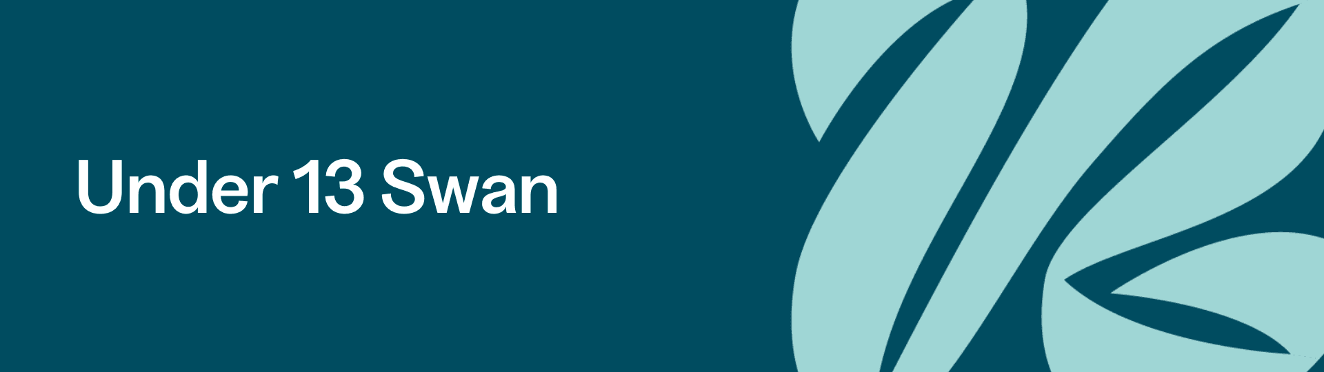 Under 13 Swan | Rugby WA