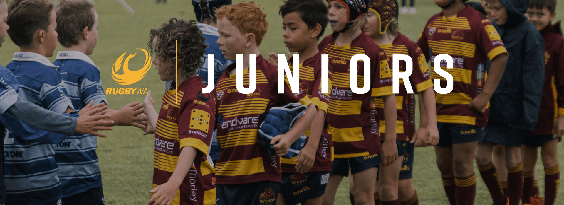 Rugby WA | News | Community | Game | Rugby WA