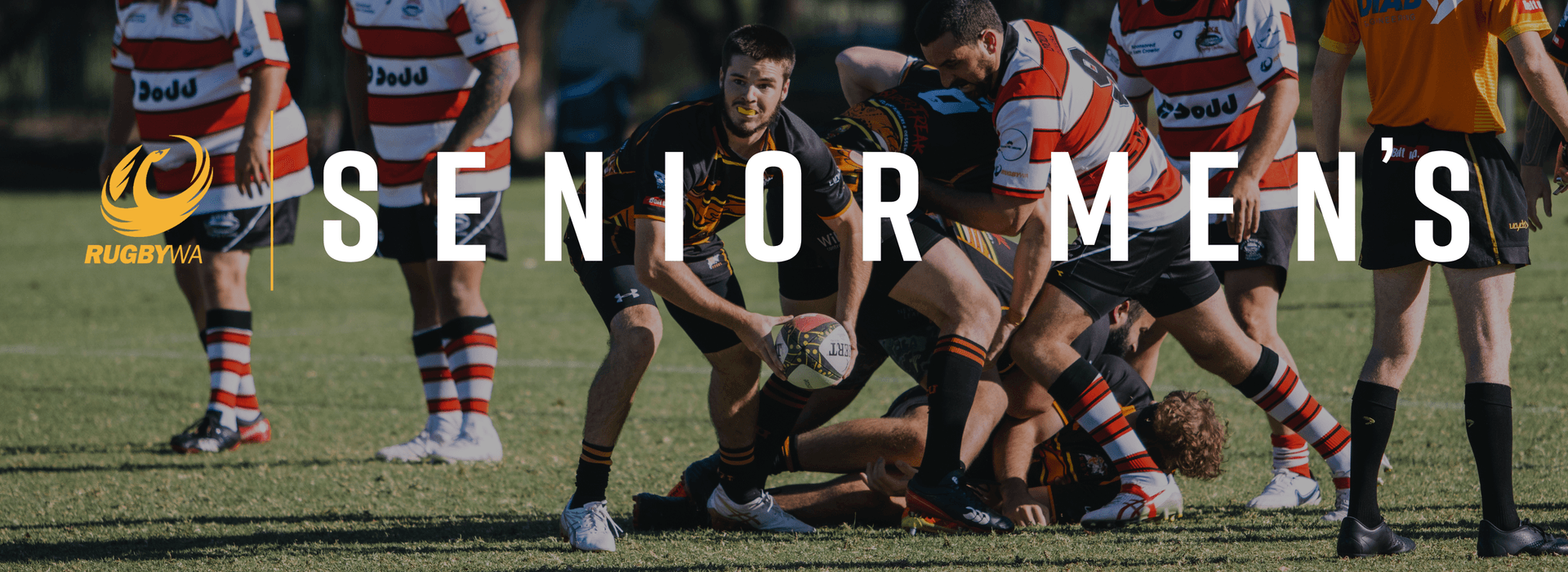 Rugby WA | News | Community | Game | Rugby WA